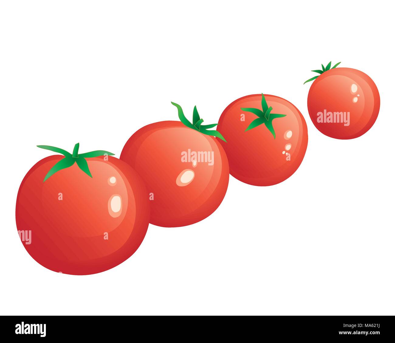 a vector illustration in eps 10 format of a row of freshly picked red ...