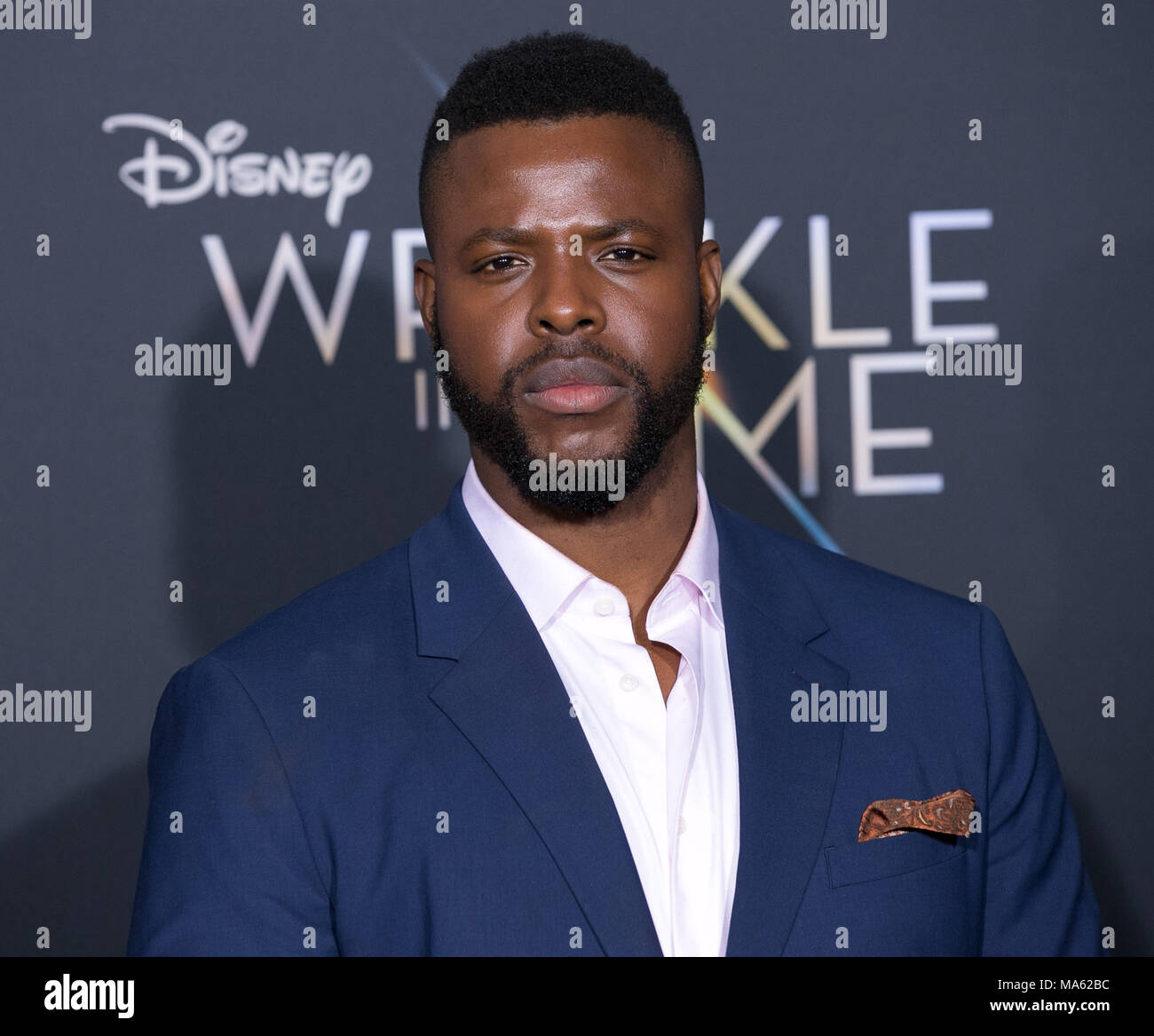 Celebrities attend World premiere of Disney’s “A Wrinkle in Time” at El ...