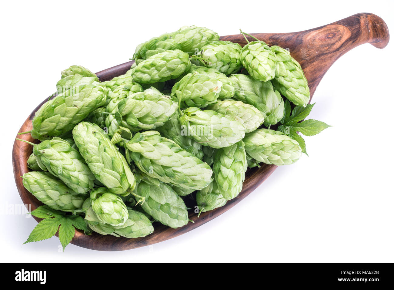 Hop cones in the wooden bowl. Isolated on the white background Stock ...