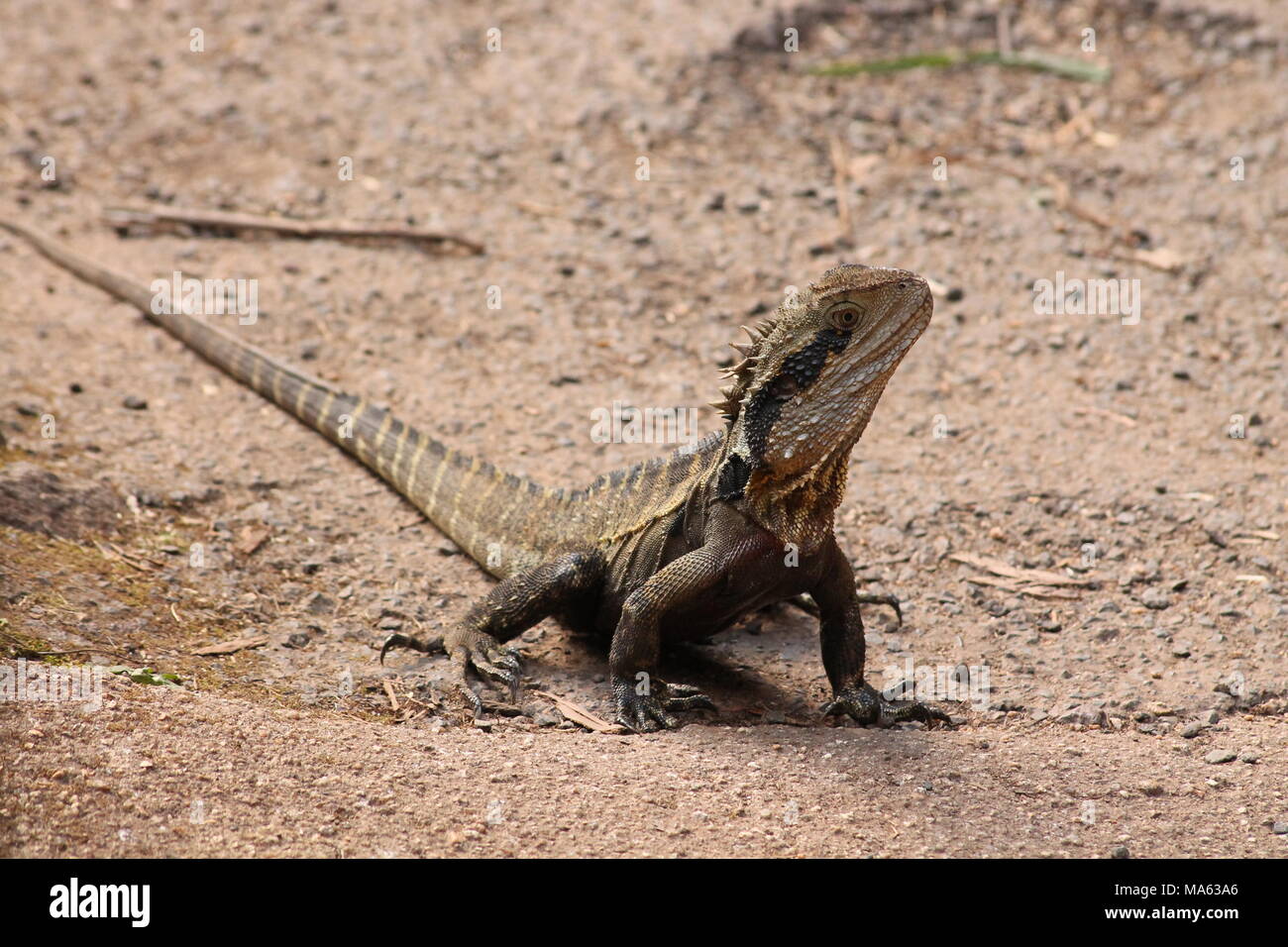 look to the left Stock Photo - Alamy