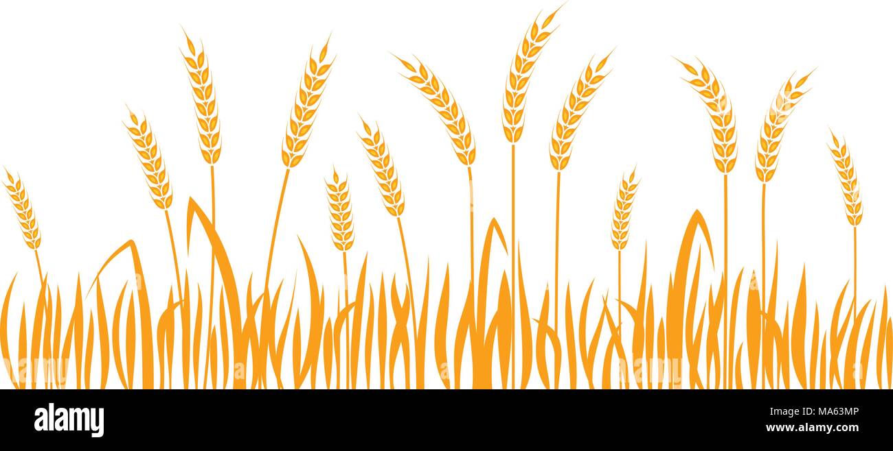 Ears of wheat horizontal border seamless pattern Stock Vector Image ...