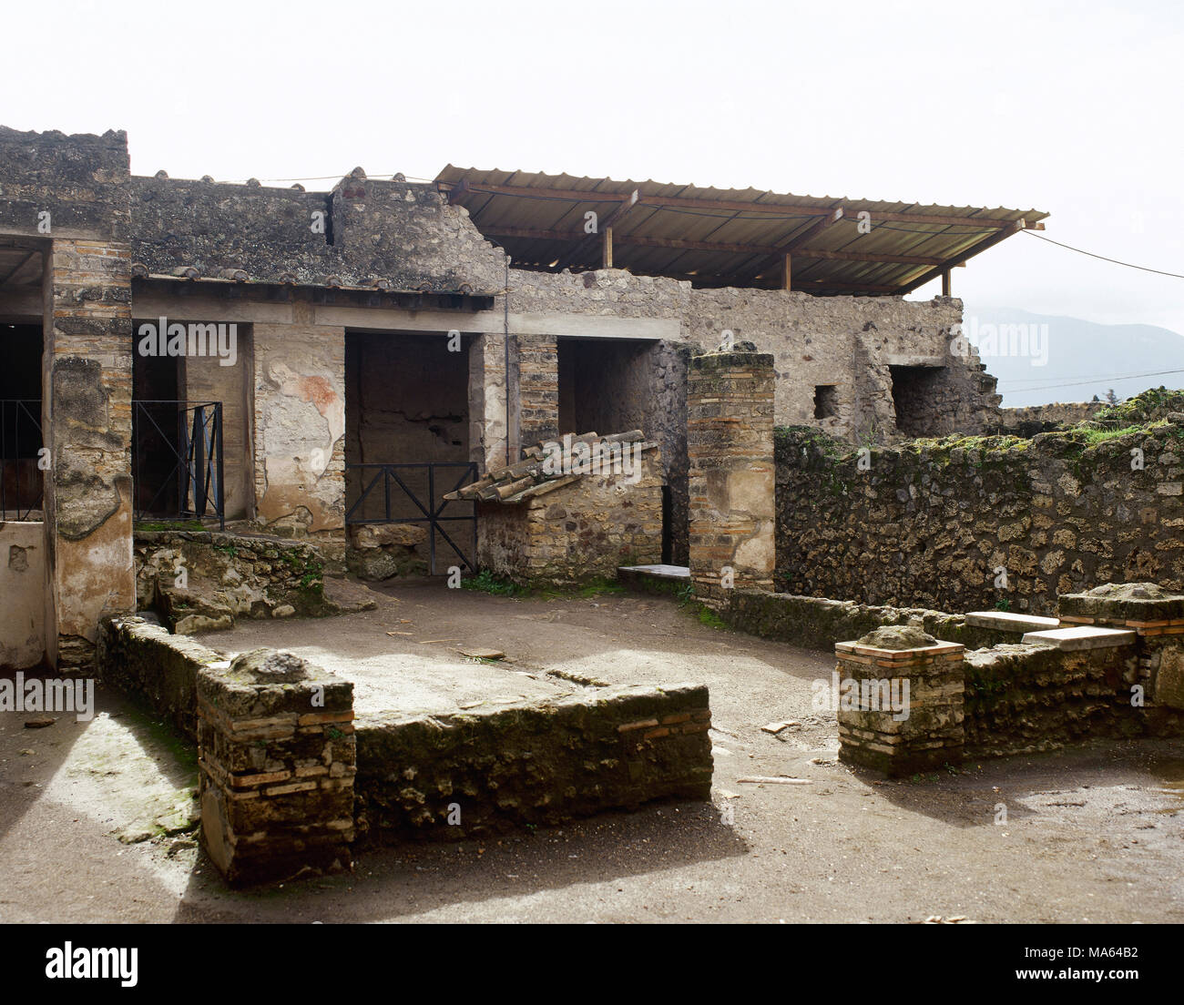 Fullonica stephanus hi-res stock photography and images - Alamy