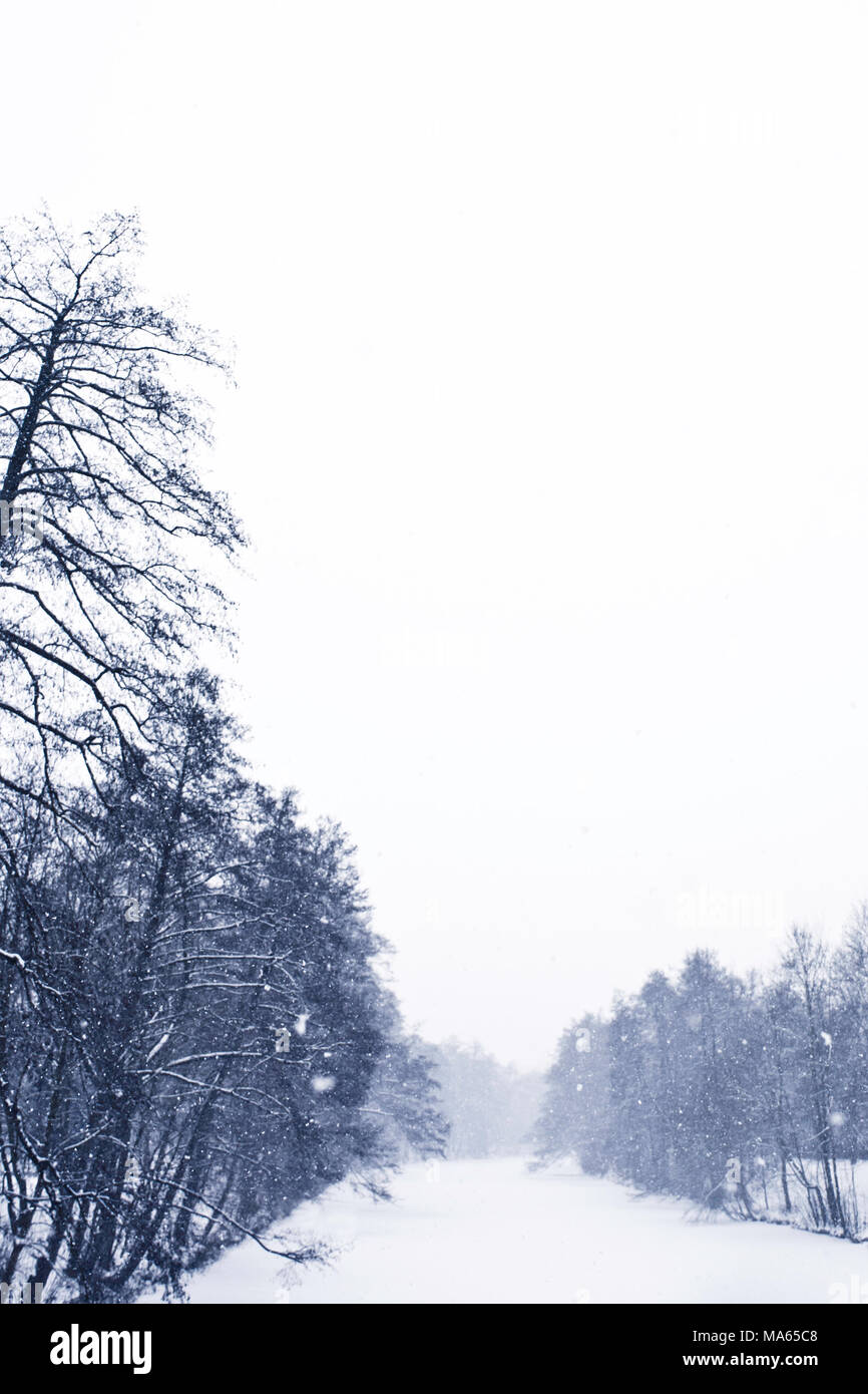 winter scene with trees and snow Stock Photo - Alamy