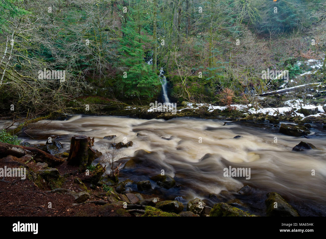 Craigvinean forest hi-res stock photography and images - Alamy