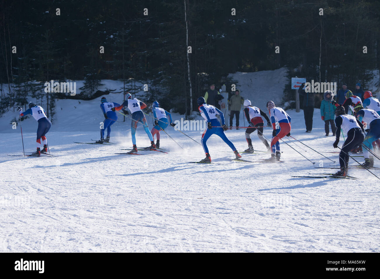 Championship ski marathon in where men skiing at a distance of 70 ...