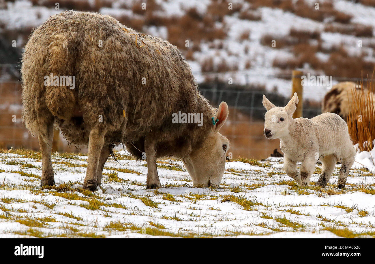 Snow in nenthead cumbria hi-res stock photography and images - Alamy
