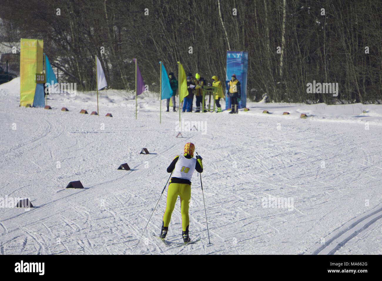 athlete runs skiing cross-country at the finish line Stock Photo - Alamy