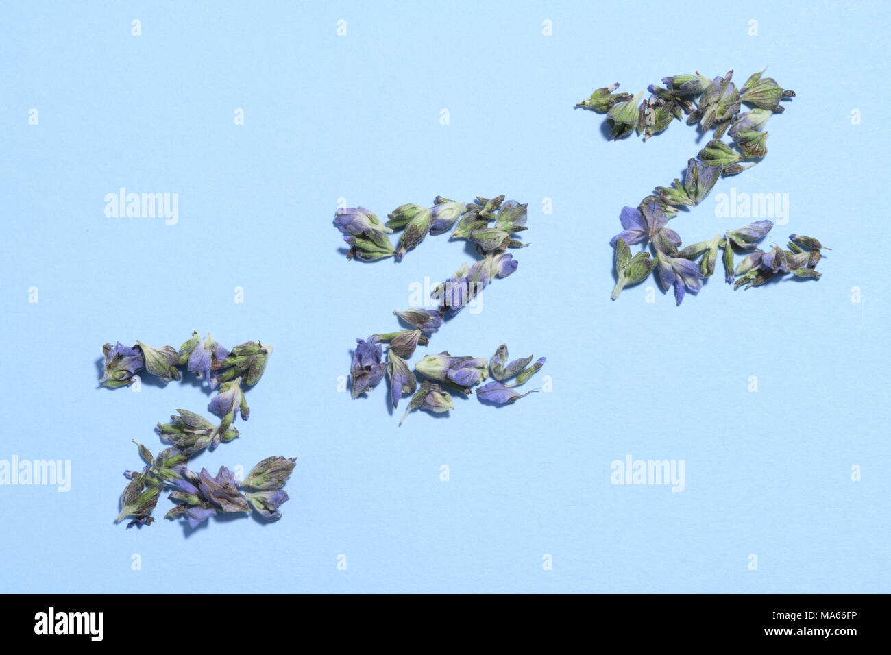 Zs therapy hi-res stock photography and images - Alamy