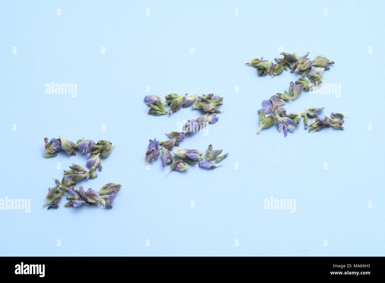 Z's as in sleeping. Comic strip snoring zees. Made from lavender ...