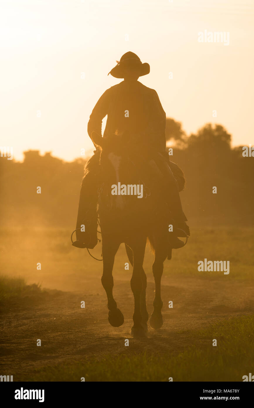Cowboy riding into sunset hi-res stock photography and images - Alamy
