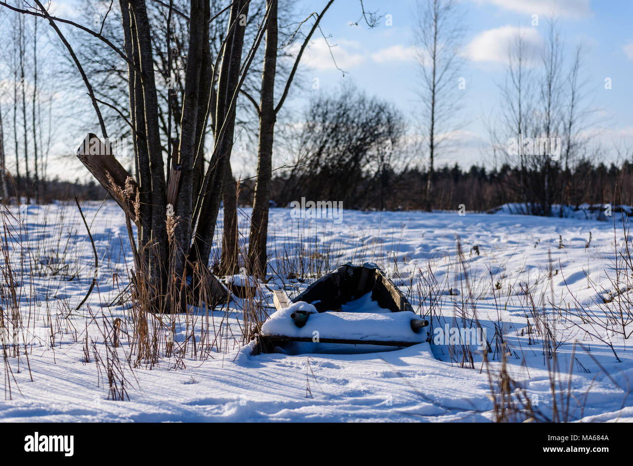 winter rural scene with snow and tree trunks in cold weather. sunny day ...