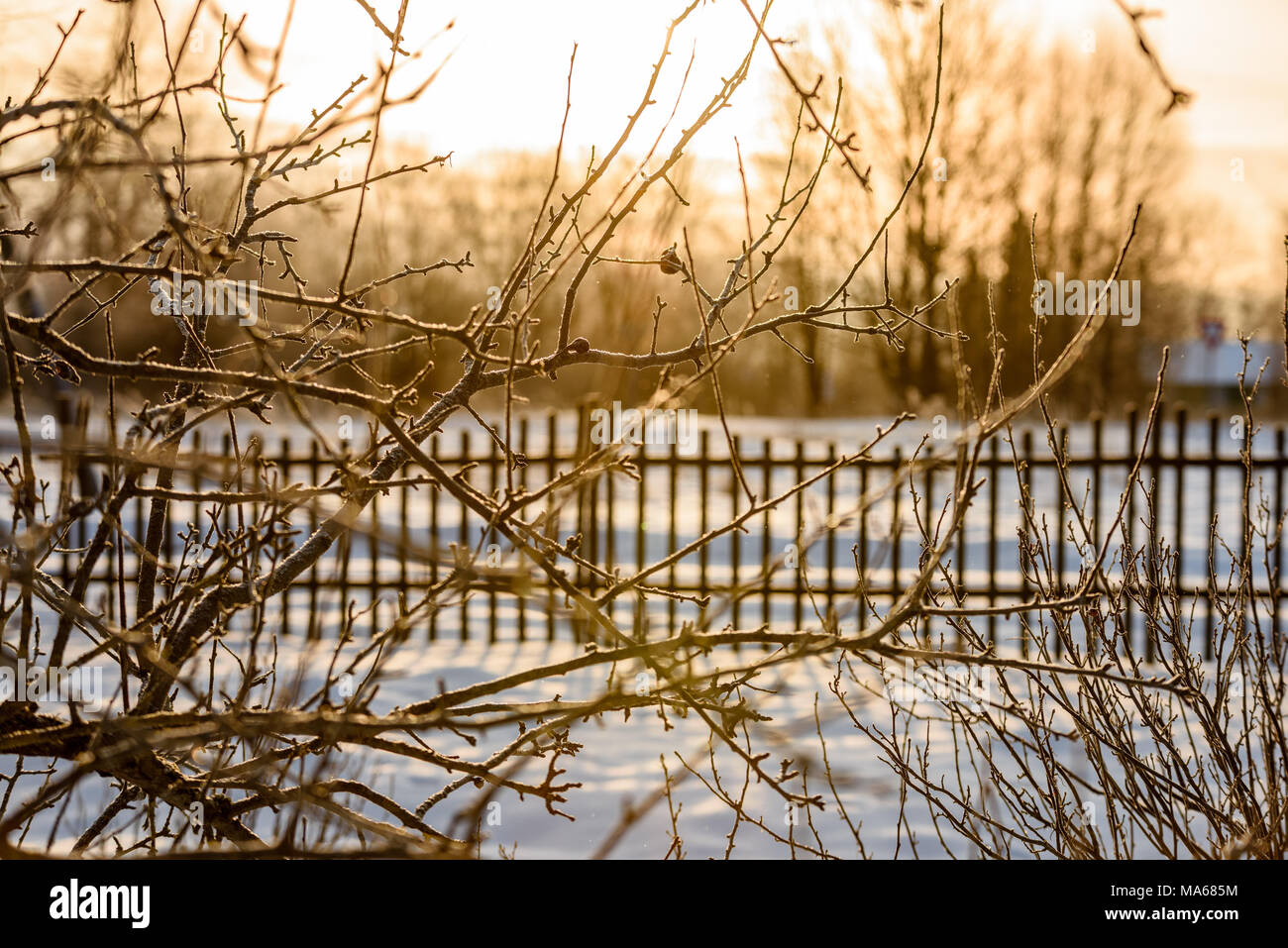 wooden plank fence details in countryside in winter time, with lots of ...