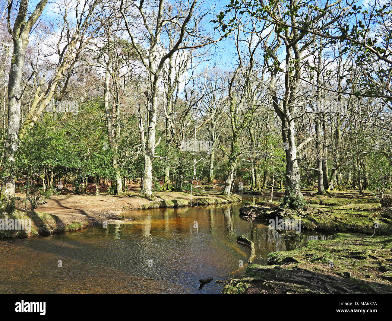 Aldridge hi-res stock photography and images - Alamy