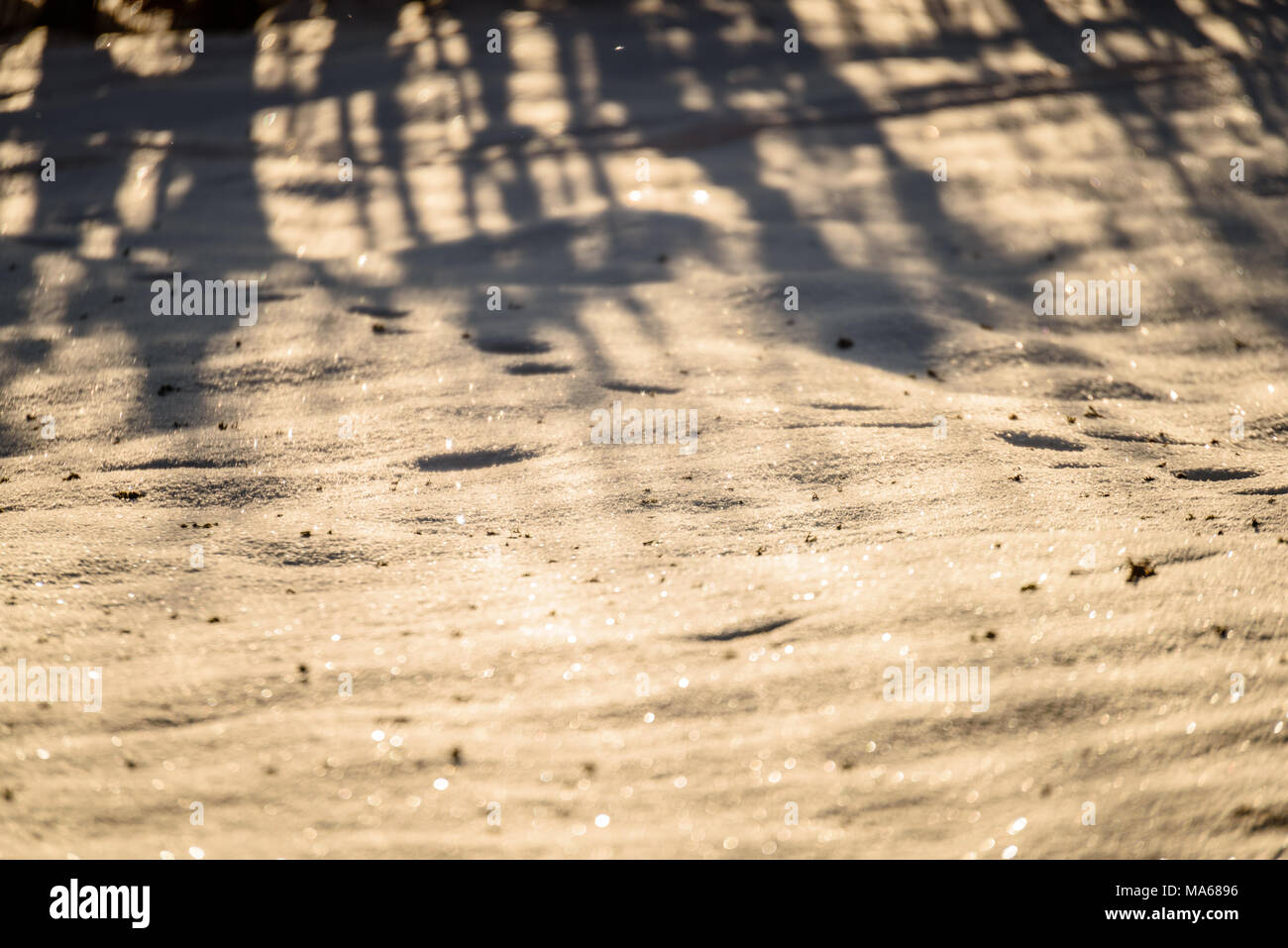 wooden plank fence details in countryside in winter time, with lots of ...