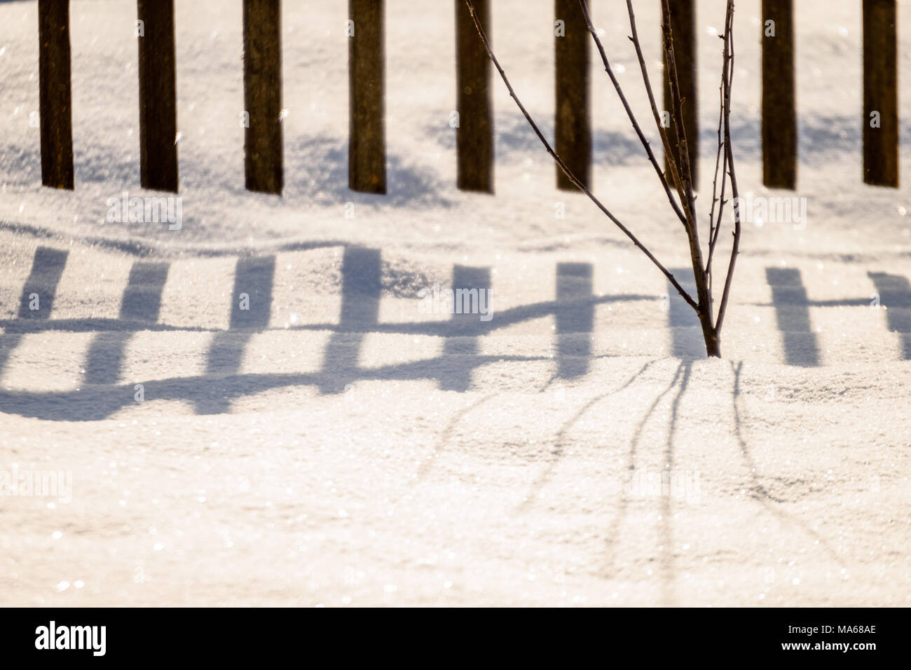 wooden plank fence details in countryside in winter time, with lots of ...