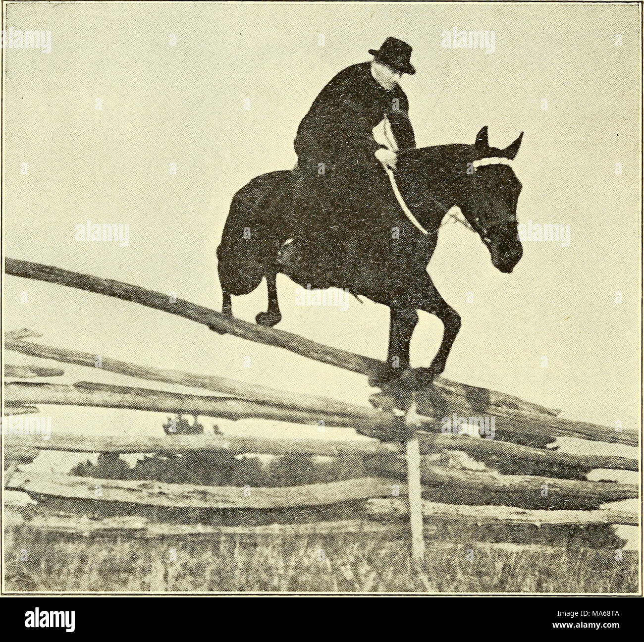 . Elements of hippology Stock Photo - Alamy