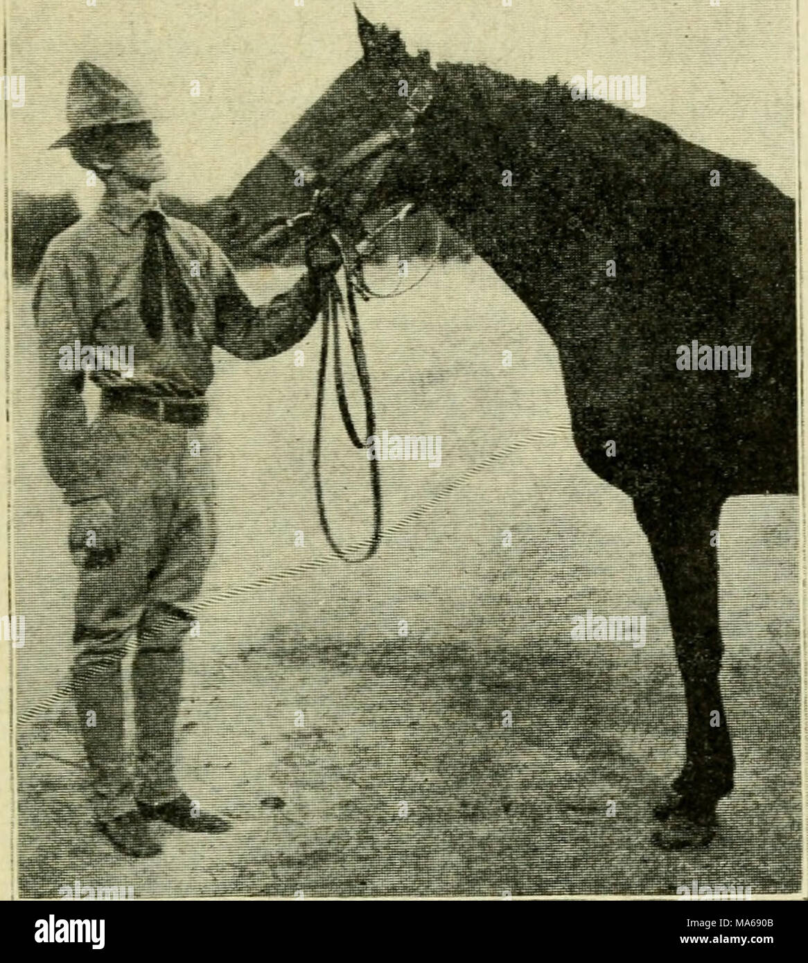 . Elements of hippology Stock Photo - Alamy