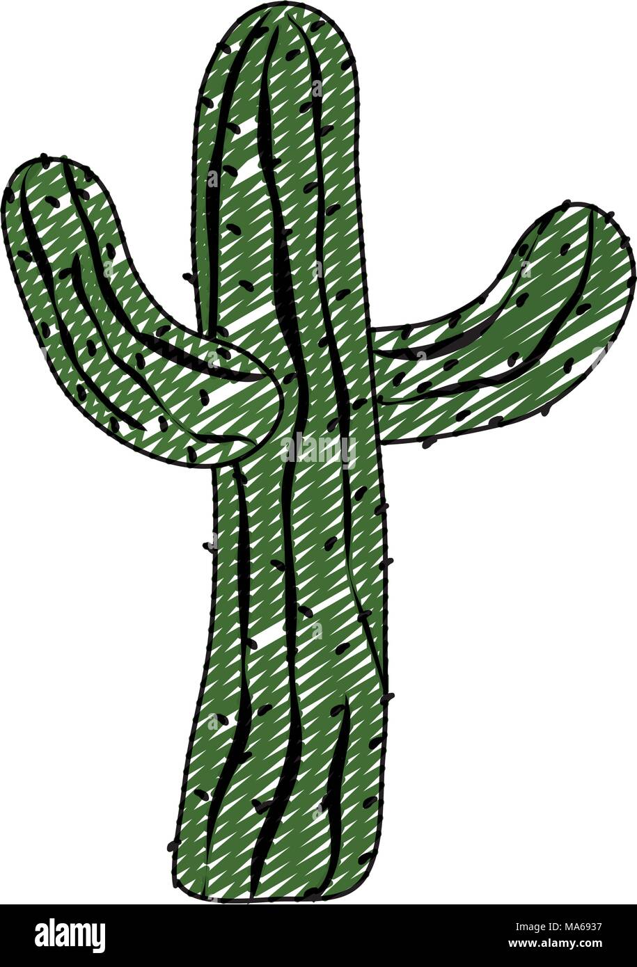 doodle tropical cactus plant nature in the desert Stock Vector Image ...