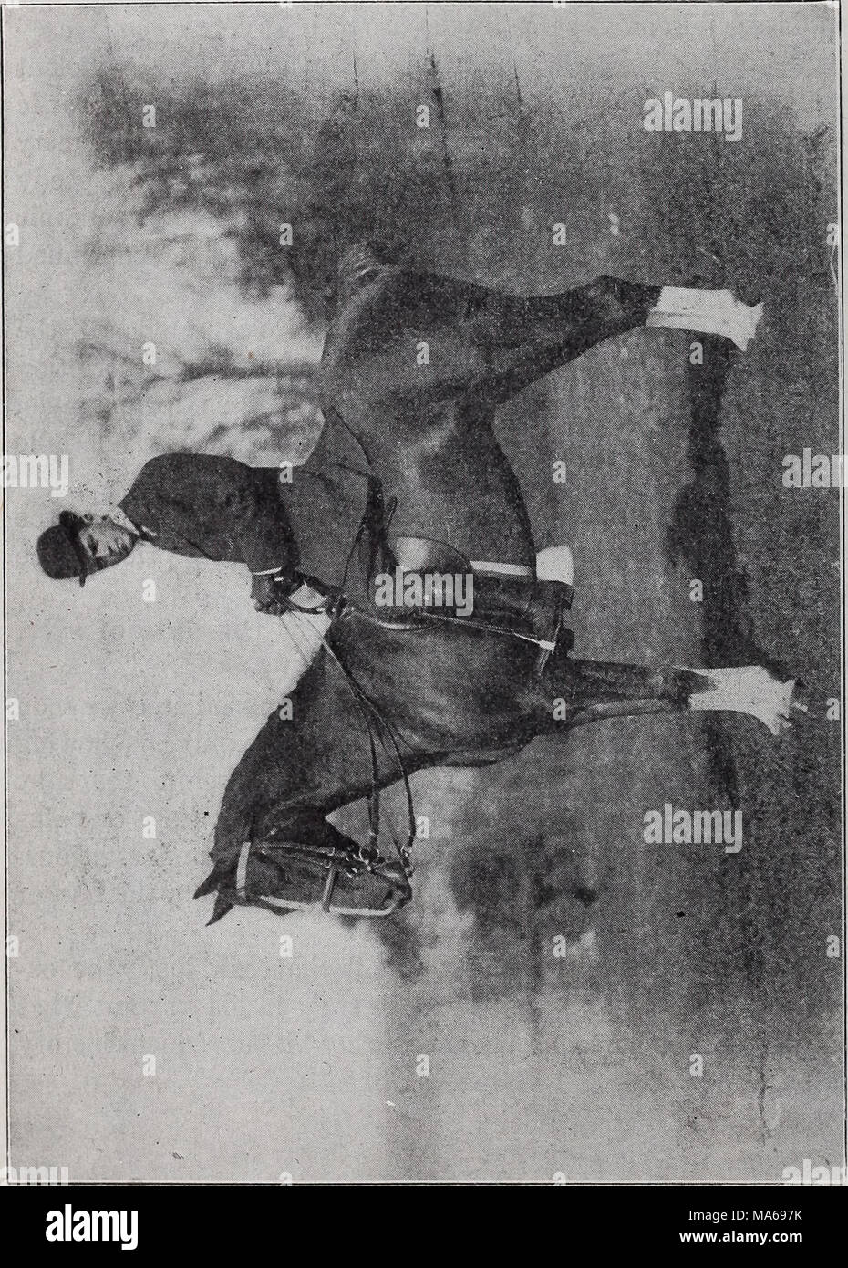 . Elements of hippology Stock Photo - Alamy