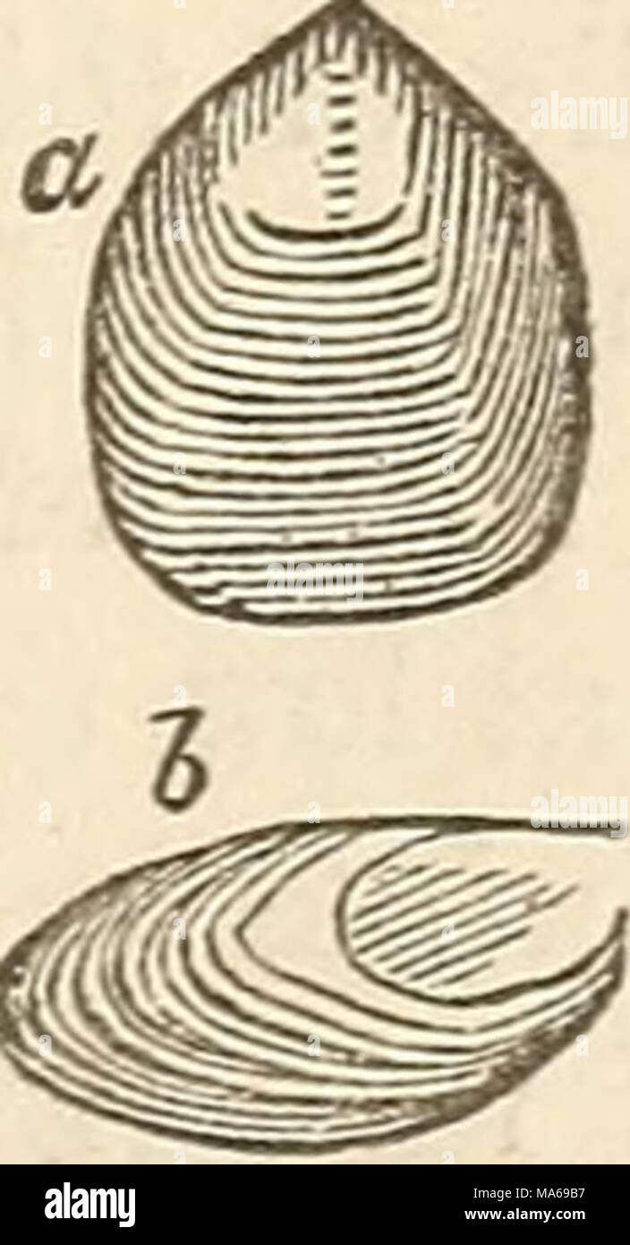 . Elements of geology, or, The ancient changes of the earth and its ...