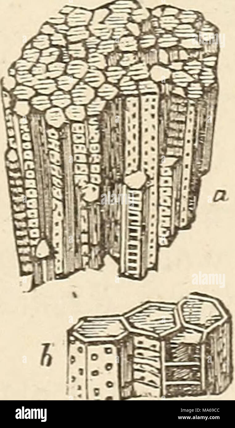 . Elements of geology, or, The ancient changes of the earth and its ...