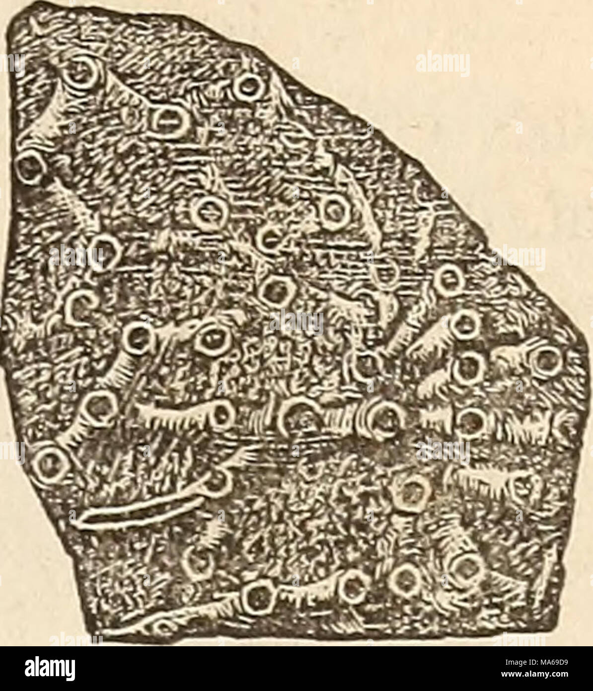 . Elements of geology, or, The ancient changes of the earth and its ...