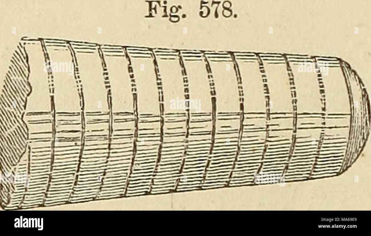 . Elements of geology, or, The ancient changes of the earth and its ...