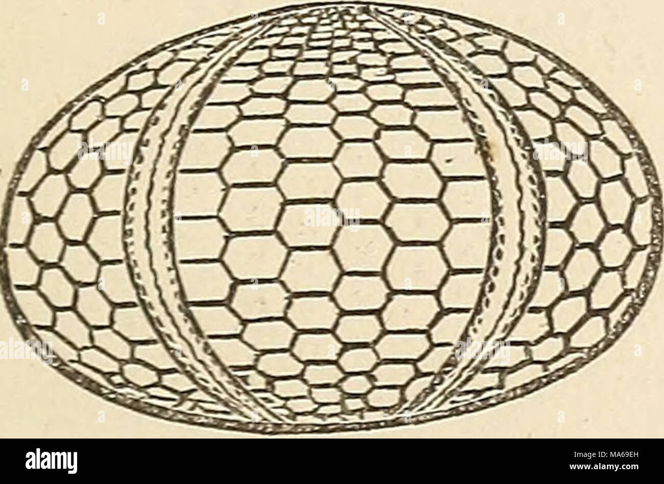 . Elements of geology, or, The ancient changes of the earth and its ...