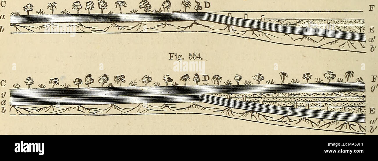 . Elements of geology, or, The ancient changes of the earth and its ...