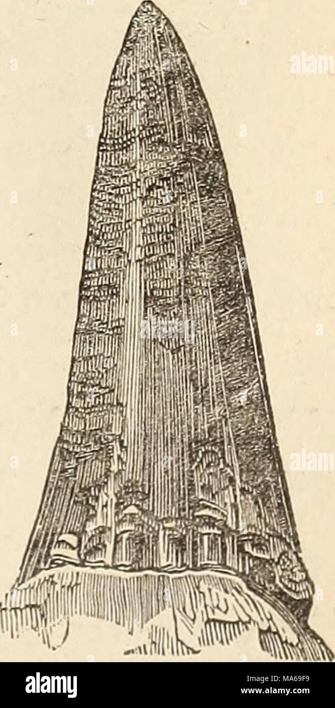 . Elements of geology, or, The ancient changes of the earth and its ...