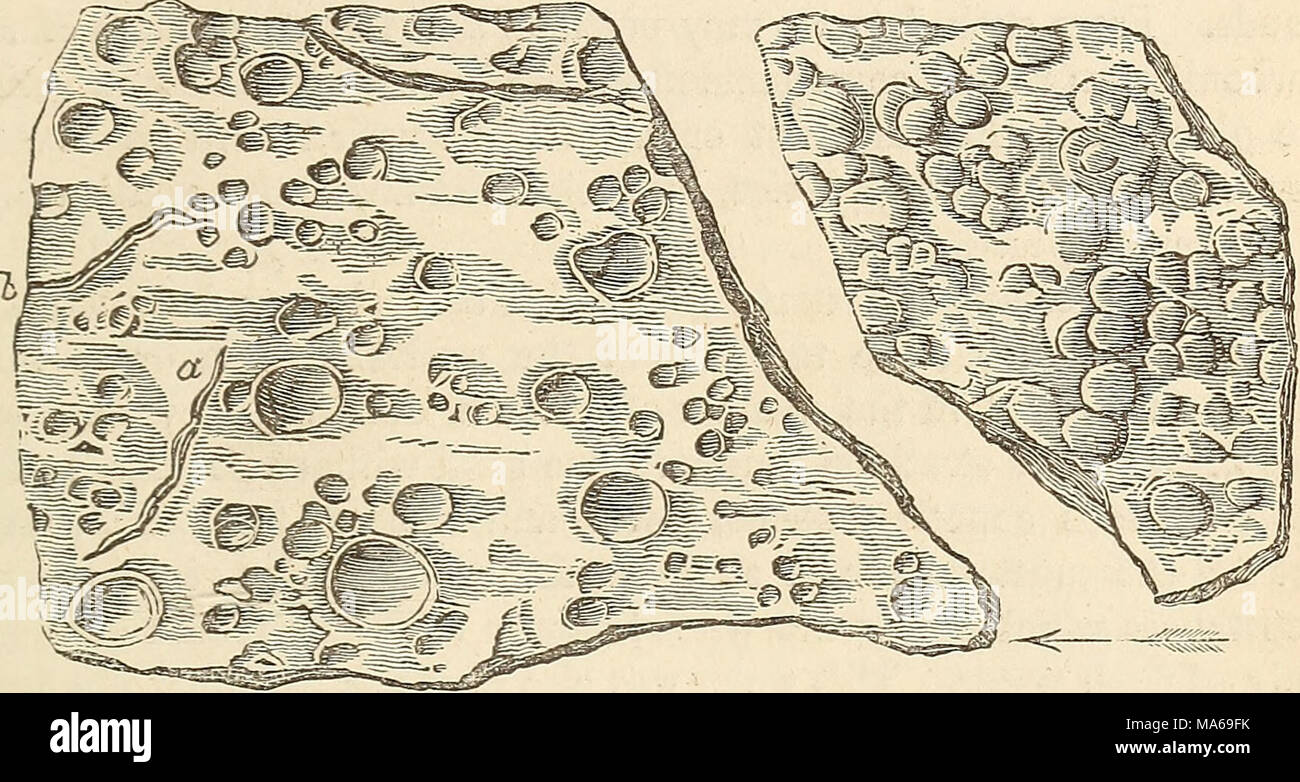 . Elements of geology, or, The ancient changes of the earth and its ...