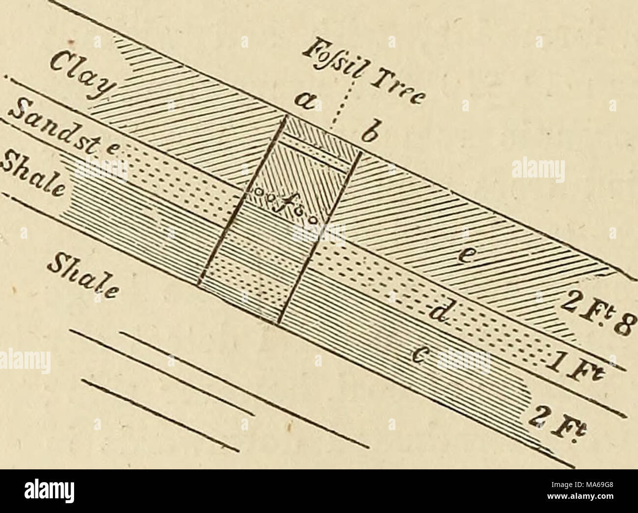 . Elements of geology, or, The ancient changes of the earth and its ...