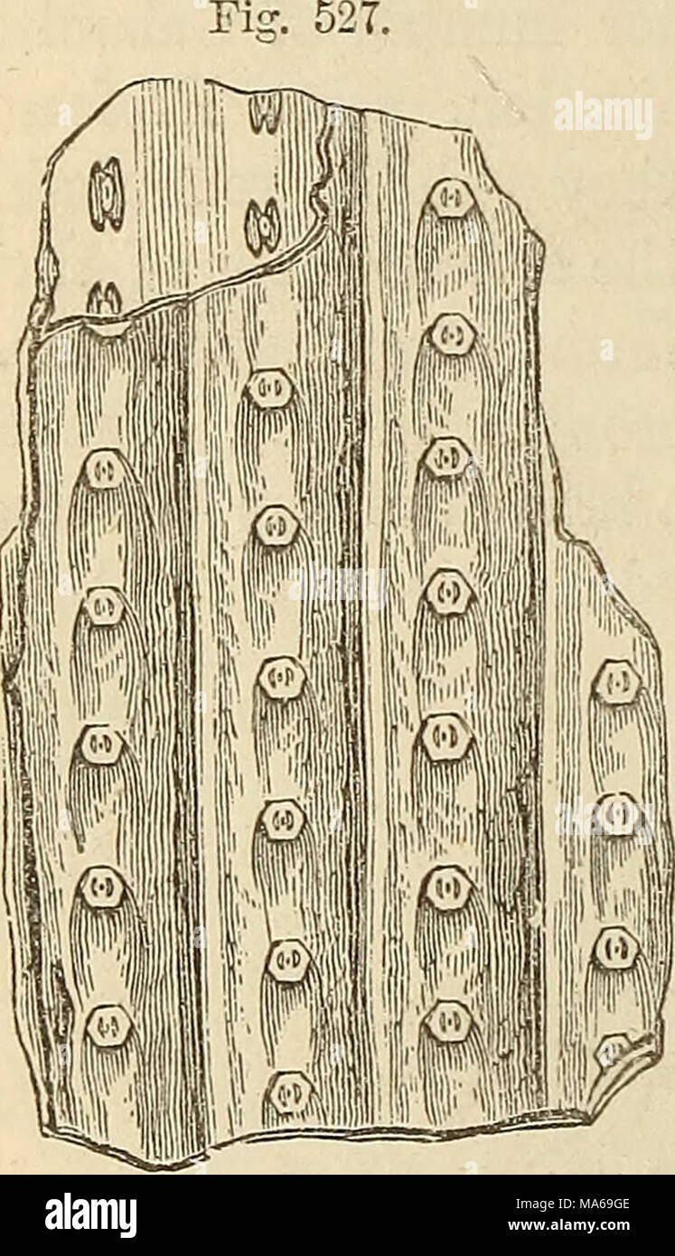 . Elements of geology, or, The ancient changes of the earth and its ...