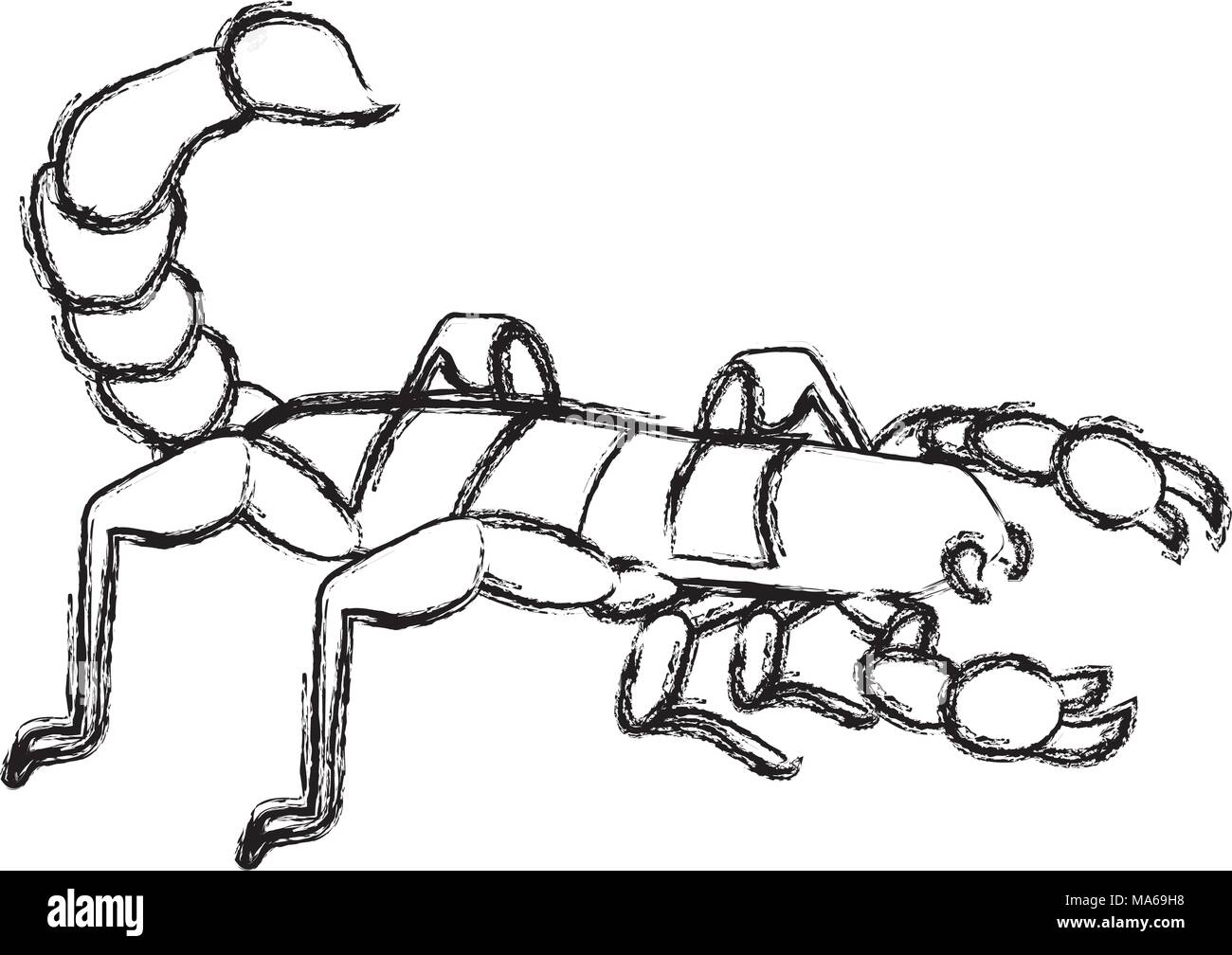 Scary Scorpion Stock Vector Images - Alamy