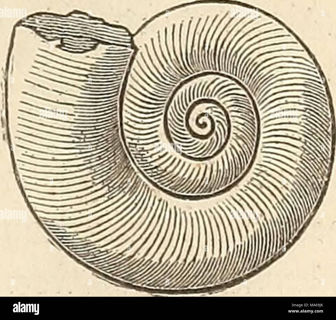 . Elements of geology, or, The ancient changes of the earth and its ...