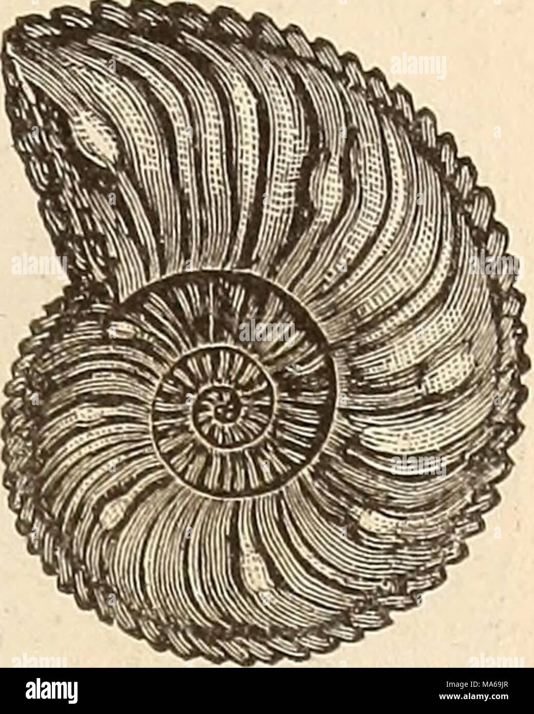 . Elements of geology, or, The ancient changes of the earth and its ...