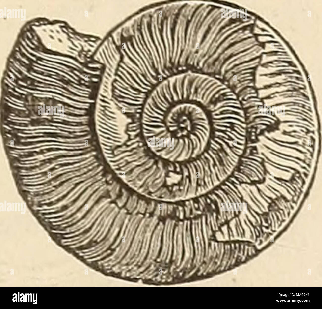 . Elements of geology, or, The ancient changes of the earth and its ...