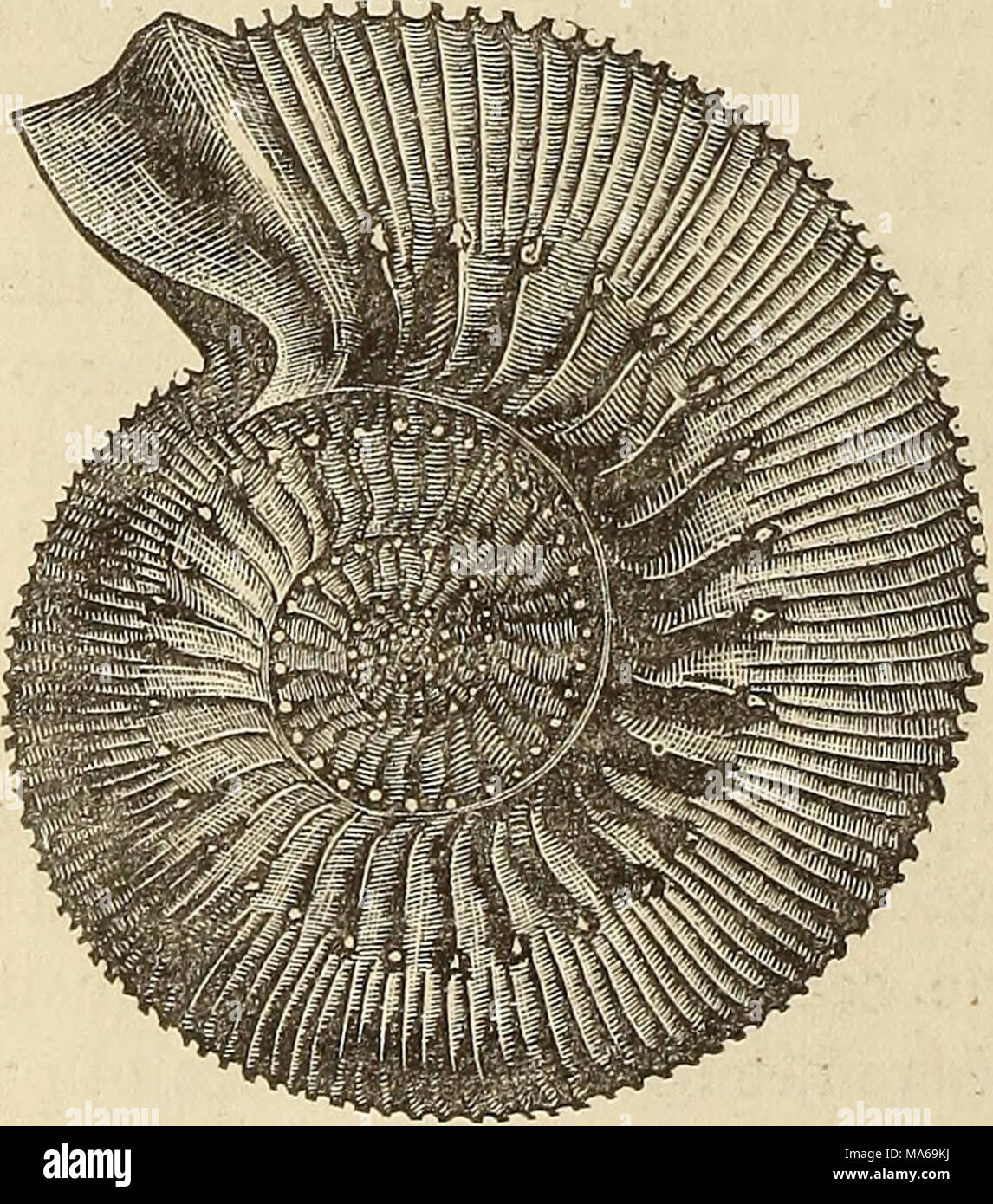 . Elements of geology, or, The ancient changes of the earth and its ...