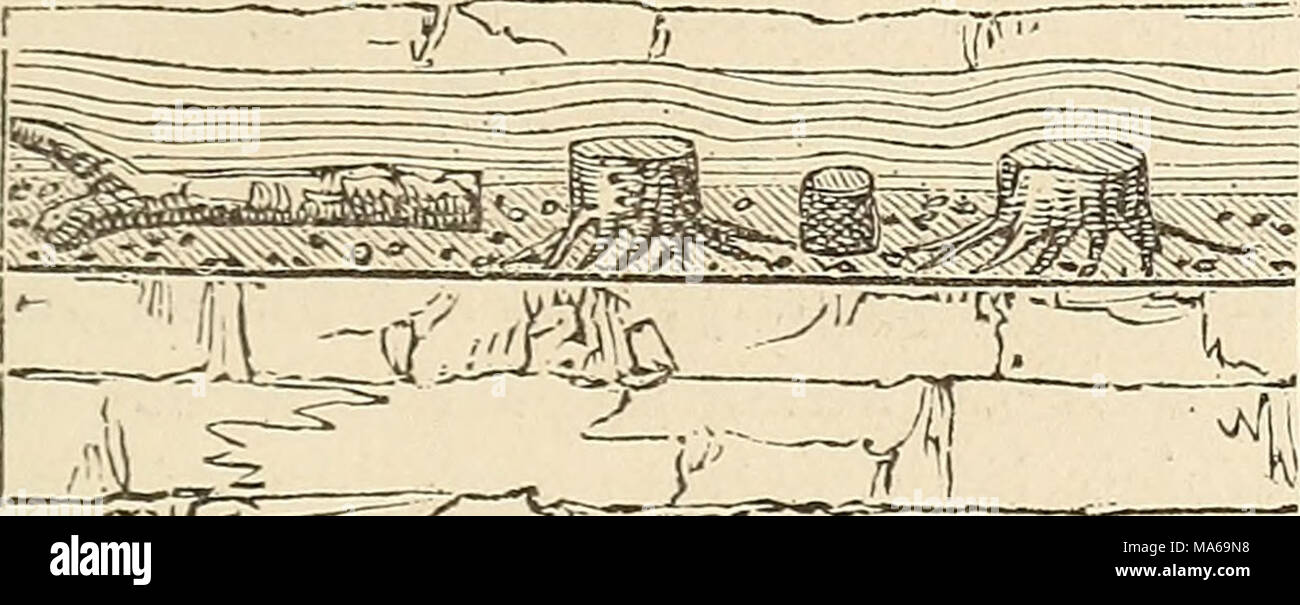 . Elements of geology, or, The ancient changes of the earth and its ...