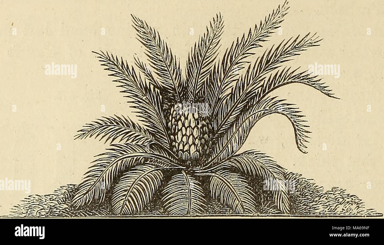 . Elements of geology, or, The ancient changes of the earth and its ...