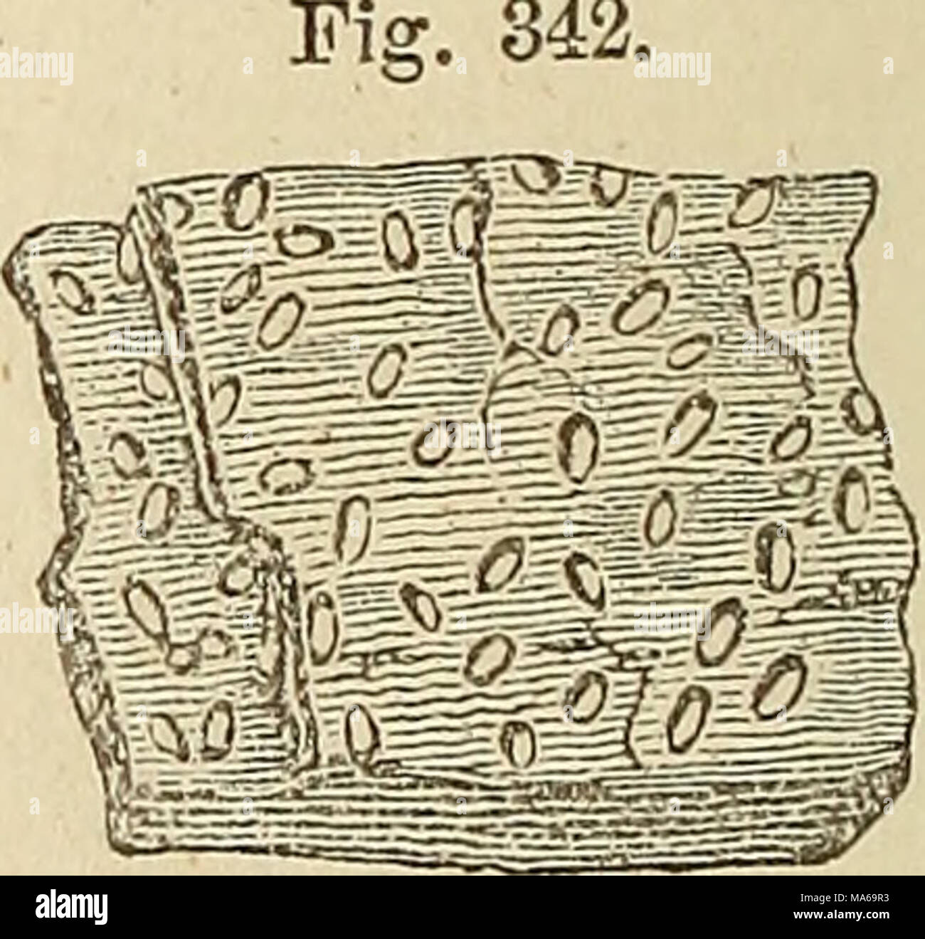 . Elements of geology, or, The ancient changes of the earth and its ...