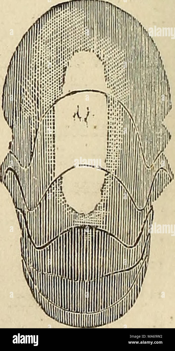 . Elements of geology, or, The ancient changes of the earth and its ...
