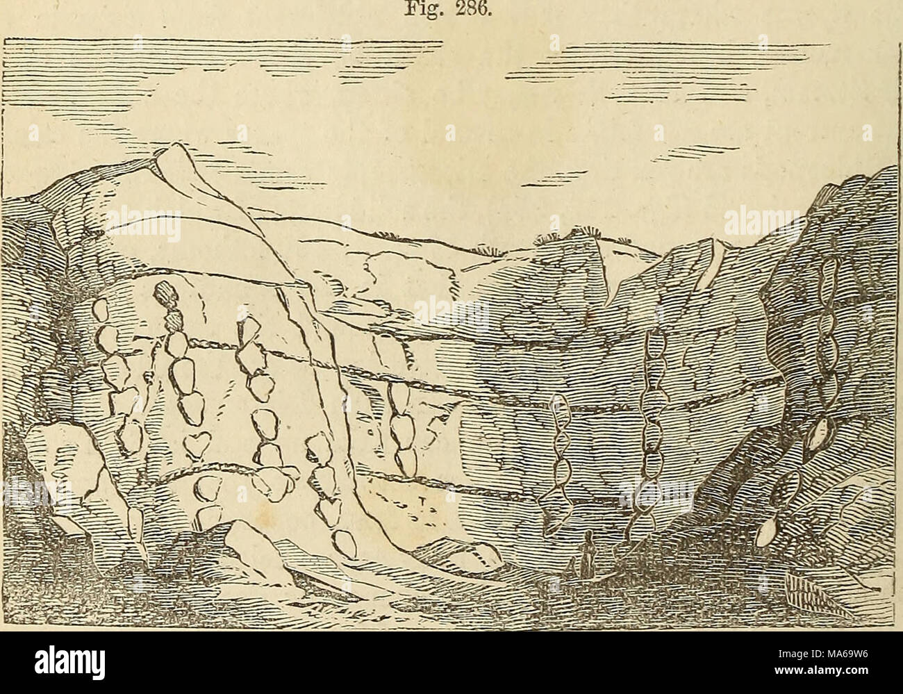 . Elements of geology, or, The ancient changes of the earth and its ...