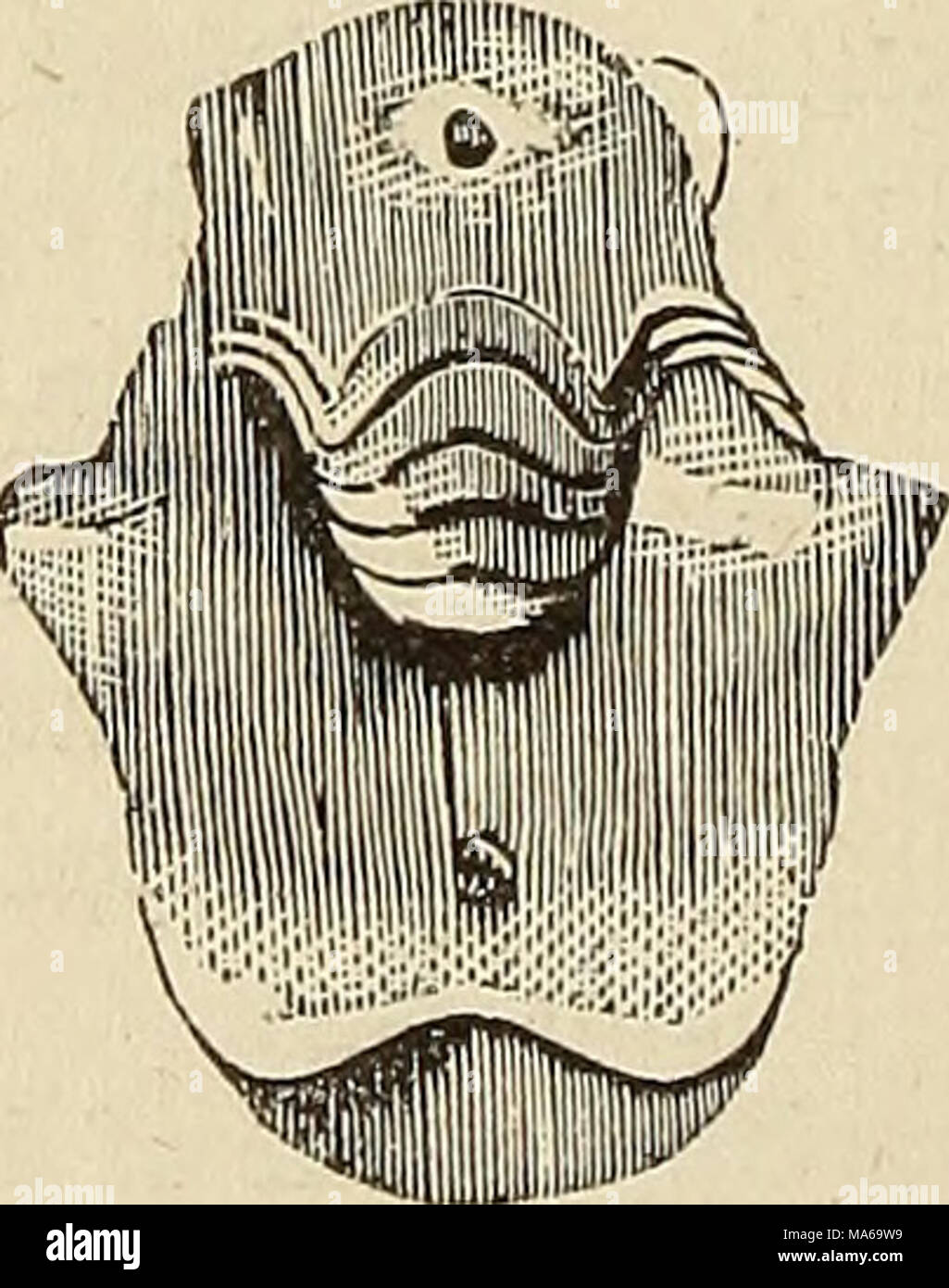. Elements of geology, or, The ancient changes of the earth and its ...