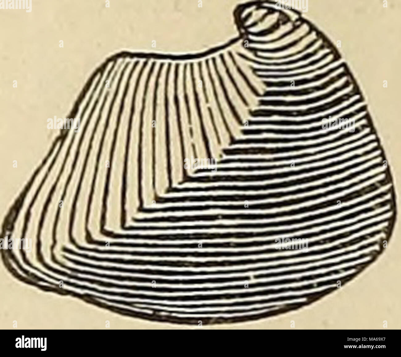 . Elements of geology, or, The ancient changes of the earth and its ...