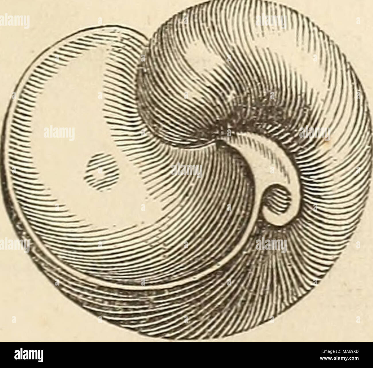 . Elements of geology, or, The ancient changes of the earth and its ...