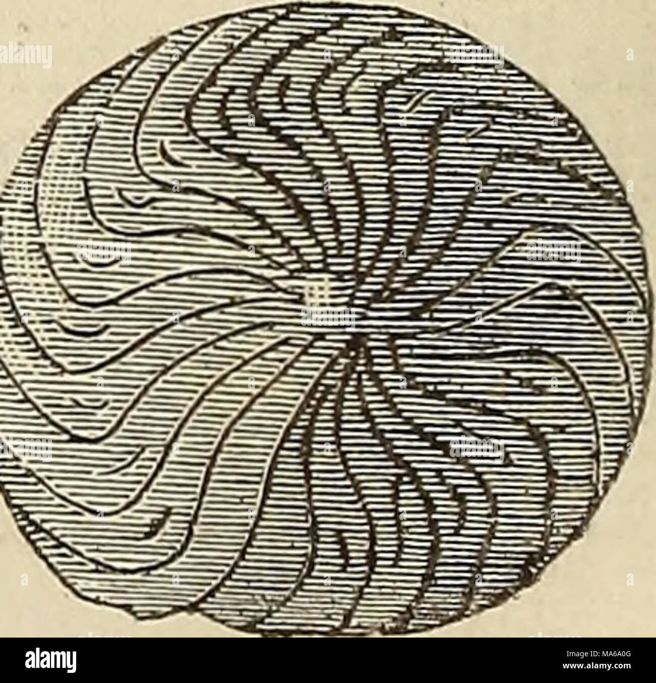. Elements of geology, or, The ancient changes of the earth and its ...