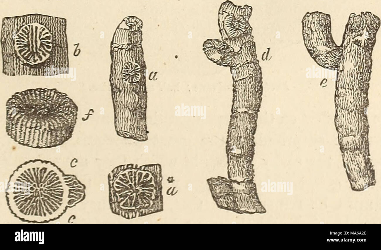. Elements of geology, or, The ancient changes of the earth and its ...