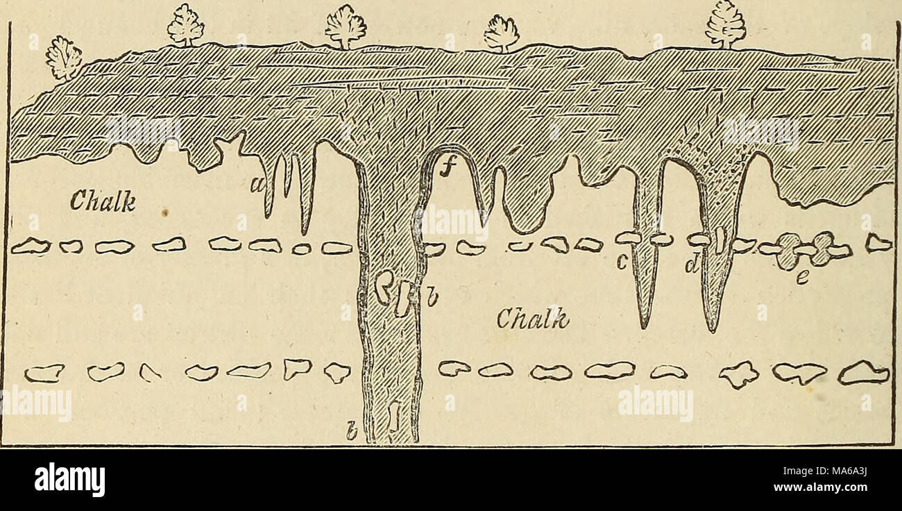 . Elements of geology, or, The ancient changes of the earth and its ...