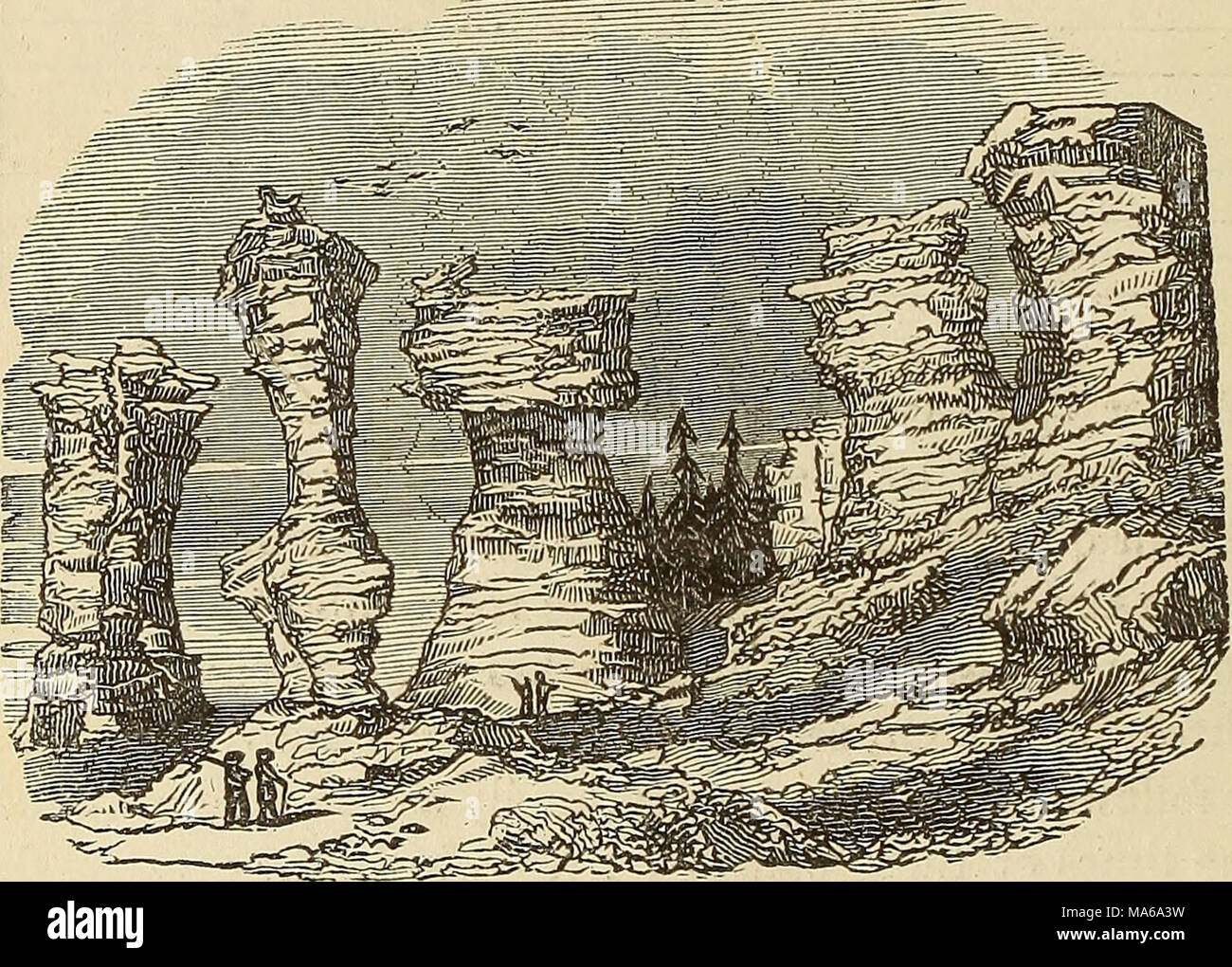 . Elements of geology, or, The ancient changes of the earth and its ...